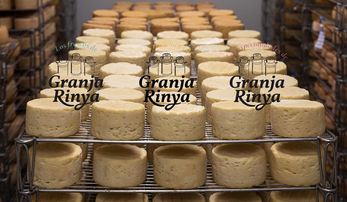 The Three-Euro Valencian Cheese is Among the World's Best - Valencian